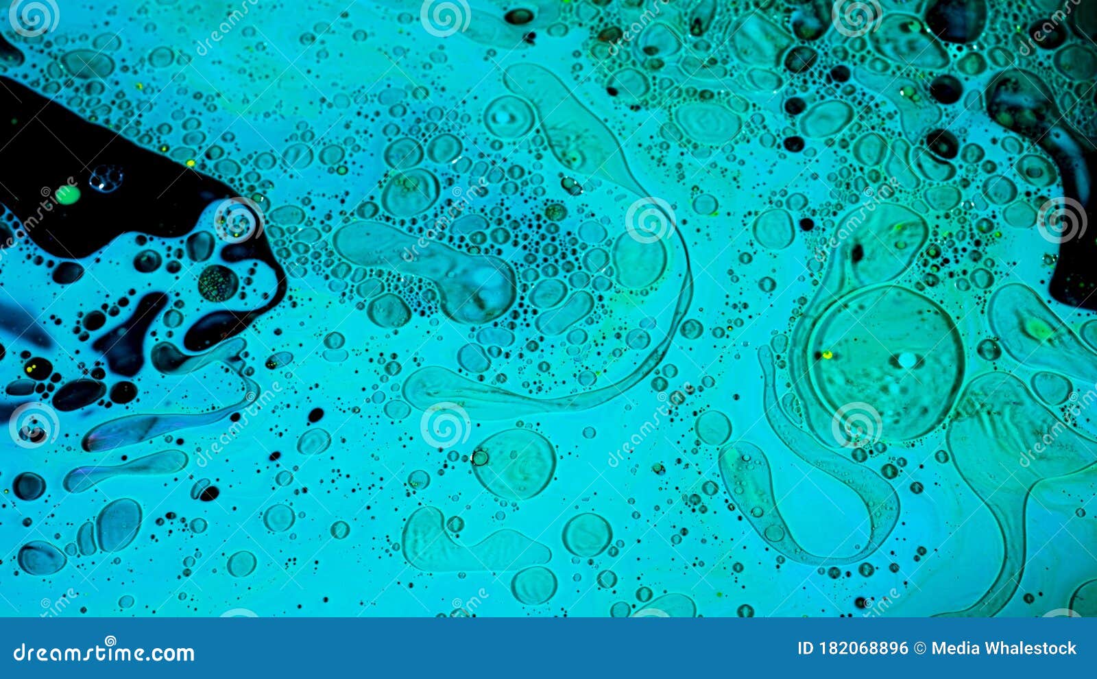 Virus Cells or Bacterias Under Microscope Lens. Stock Footage. Extreme ...