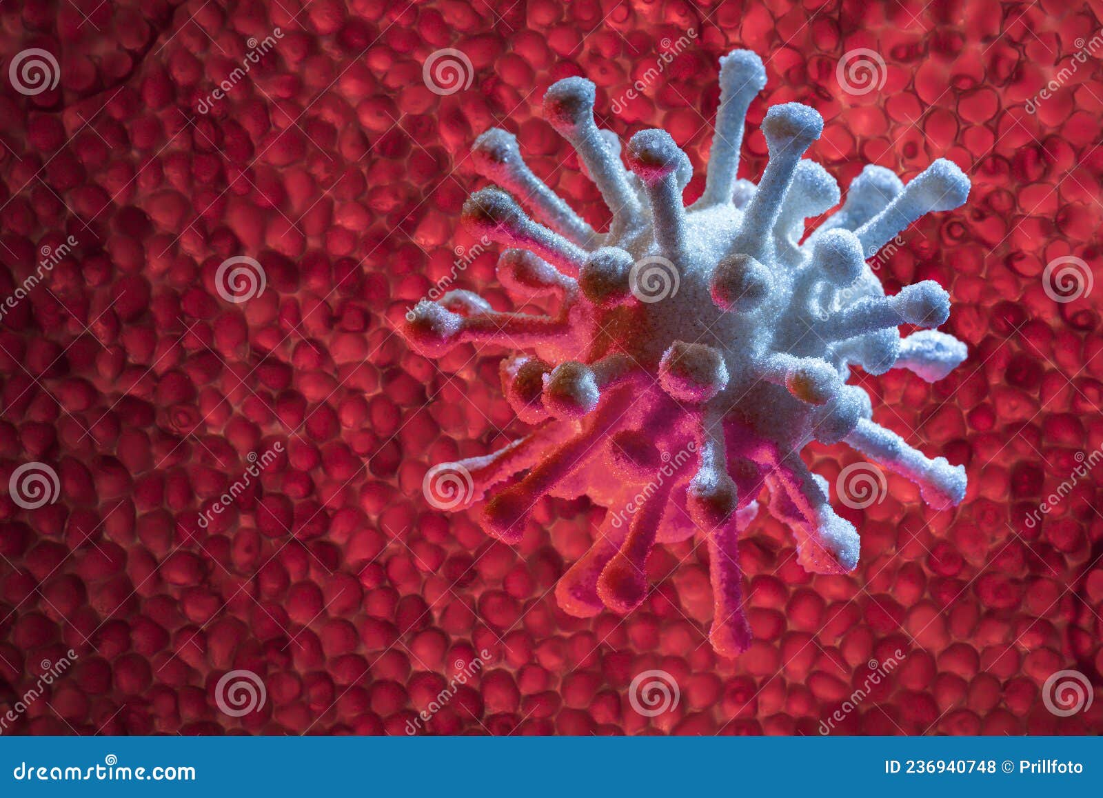 Virus in cellular back stock photo. Image of biology - 236940748