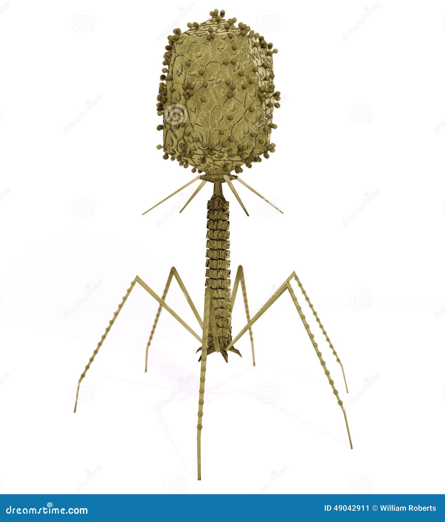 Virus del bacteriófago stock de ilustración. Ilustración de salud ...