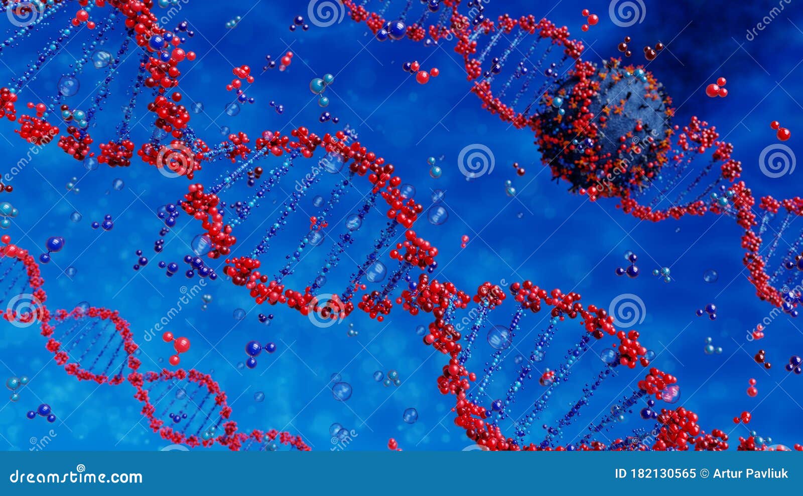 Virus Destroys Human Dna Chain. Genome Structure. Stock Photo ...