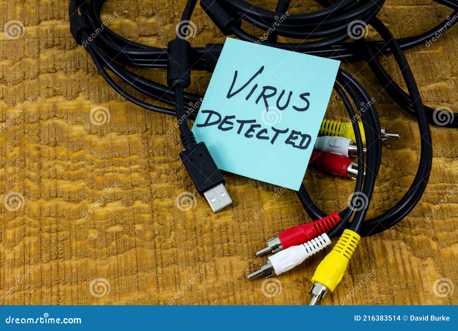 Virus Detected Alert Detection Software Technology Infection Warning ...