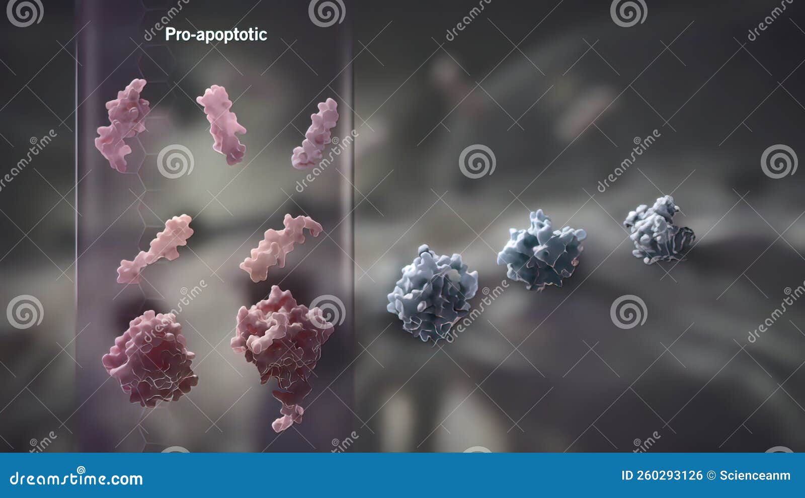 Virus infected cell stock illustration. Illustration of structure ...