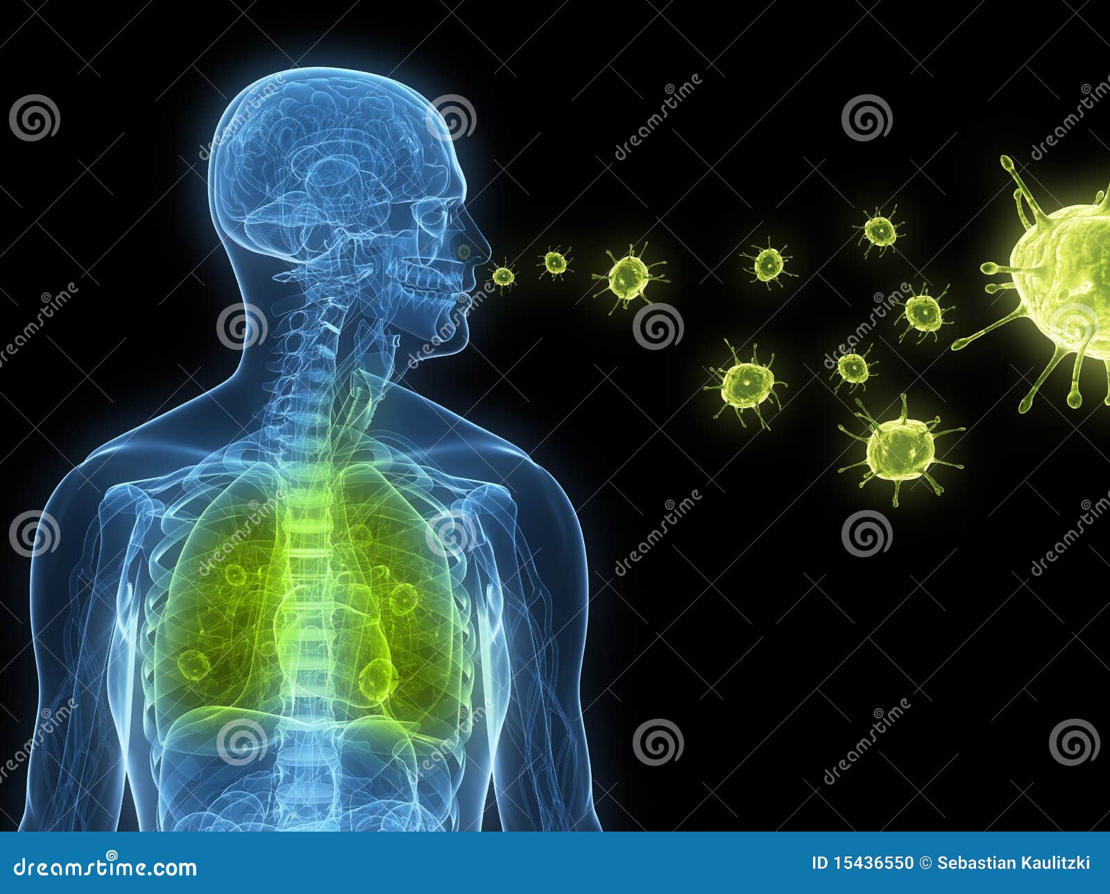 Virus infection stock illustration. Illustration of anatomical - 15436550