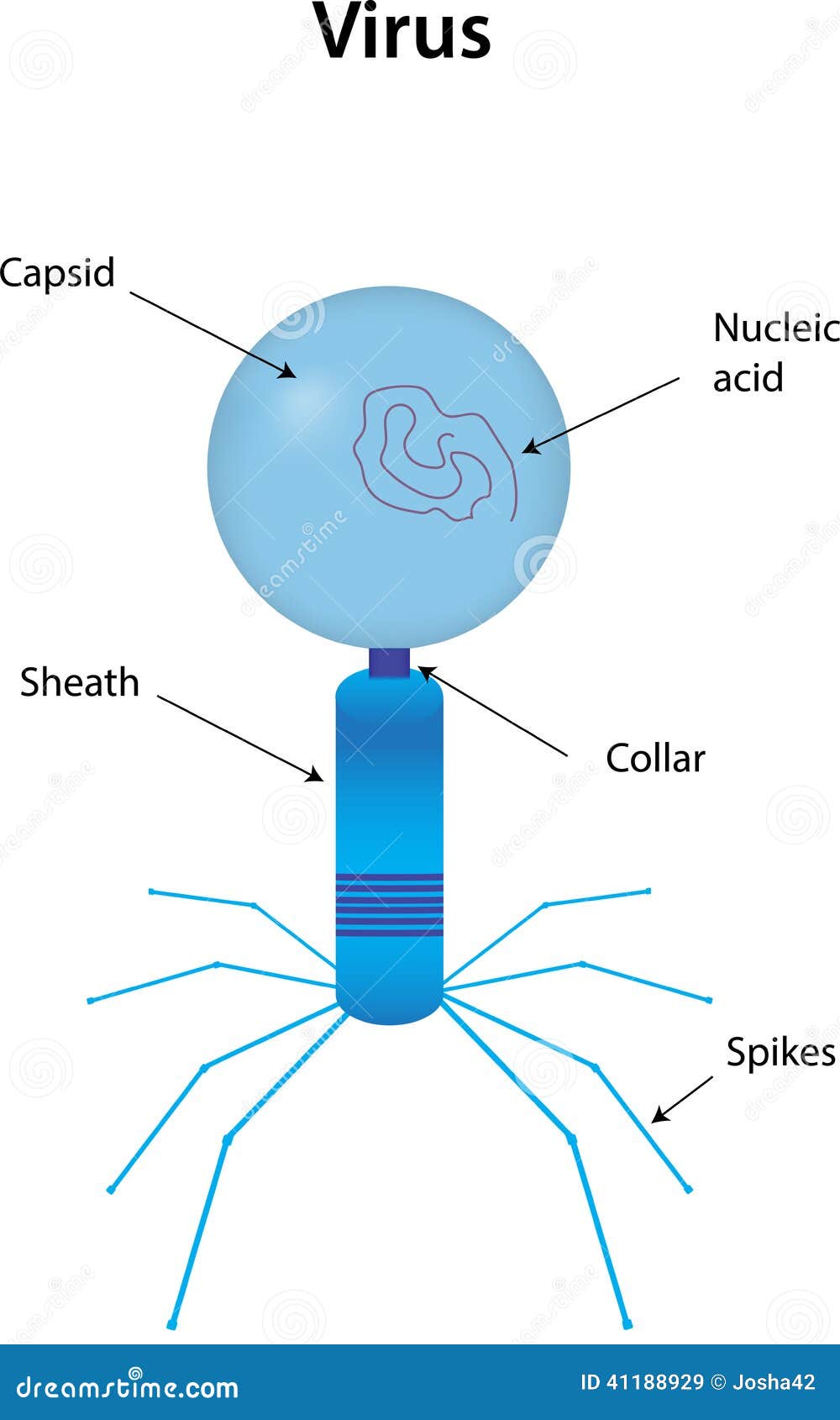 Virus stock vector. Illustration of retrovirus, science - 41188929
