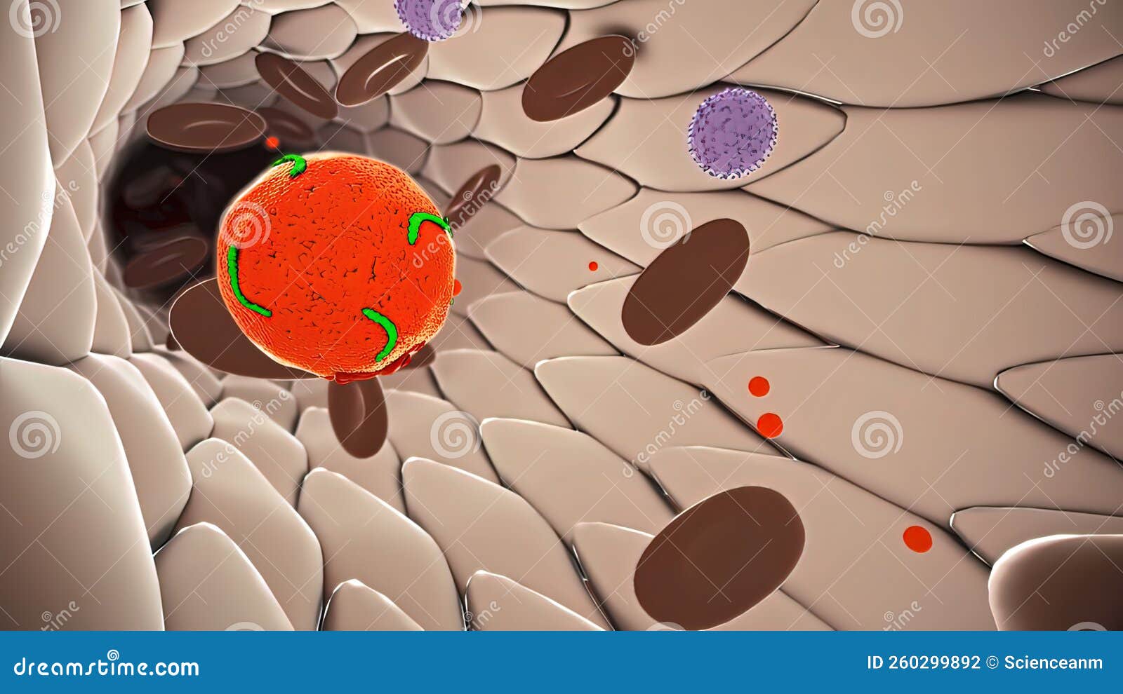 Virus Particles into the Cell Stock Illustration - Illustration of ...