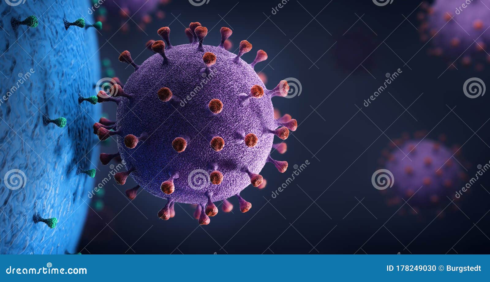 Virus Pathogen or Virus Particle Interacting with Cell Membrane Stock ...