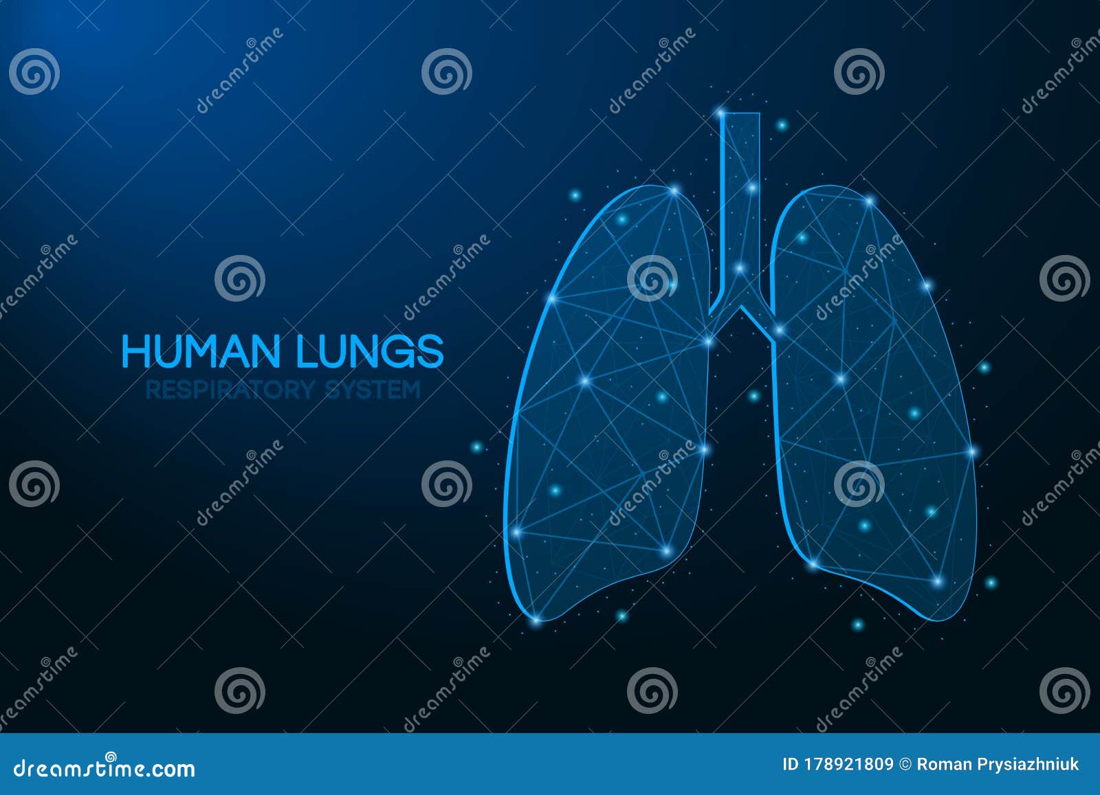 Human Lungs Illustration Made by Points and Lines, Polygonal Wireframe ...