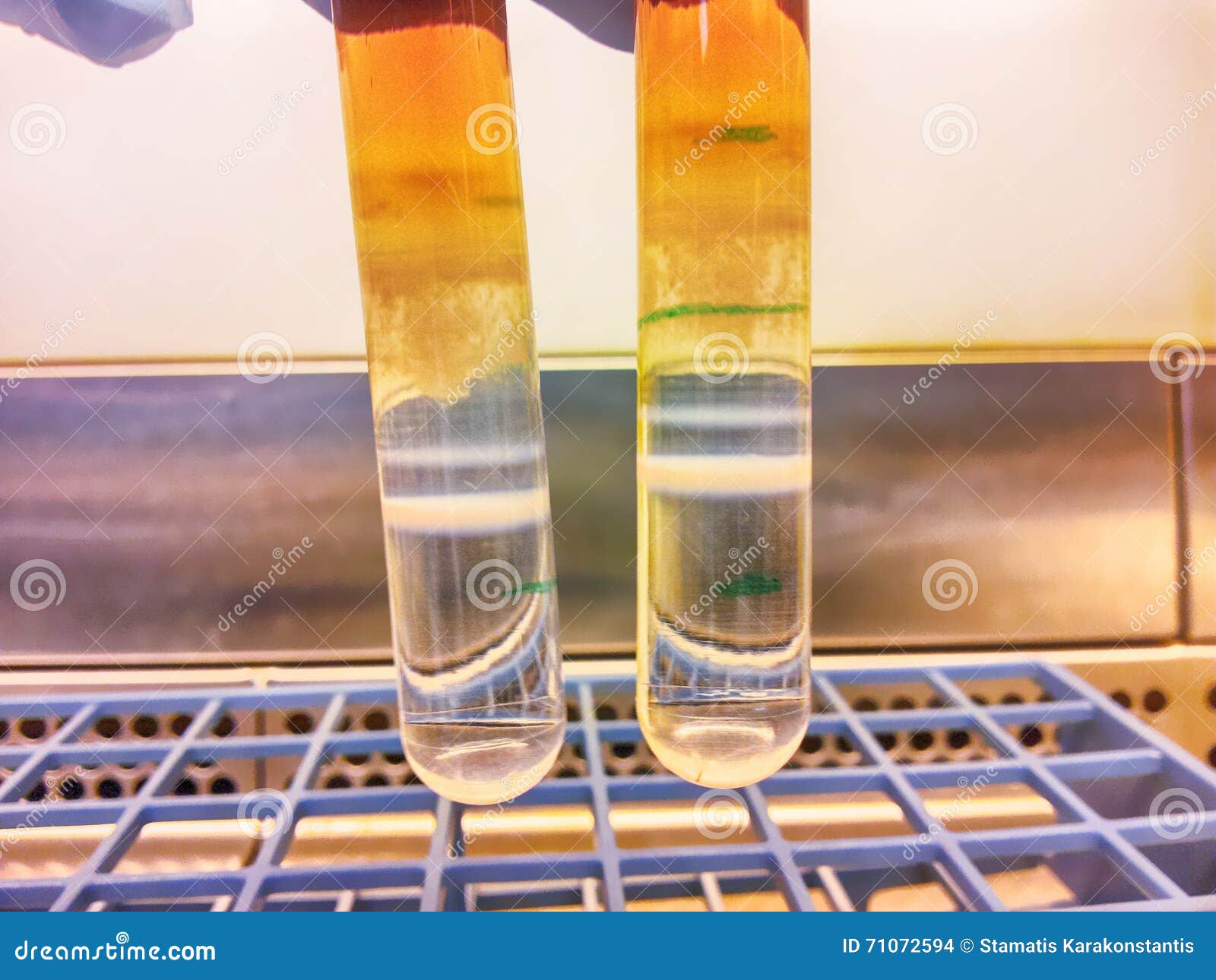 Virus purification stock photo. Image of gradient, fighting - 71072594