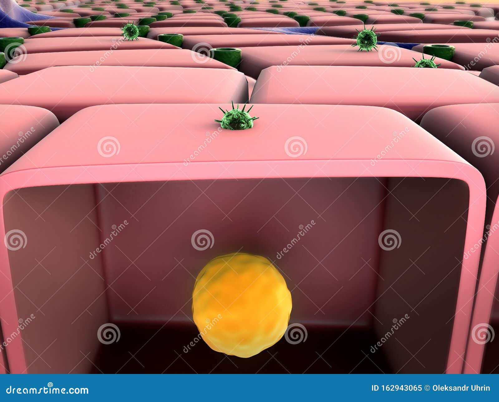 DNA Replication Animation Stock Image | CartoonDealer.com #369487687