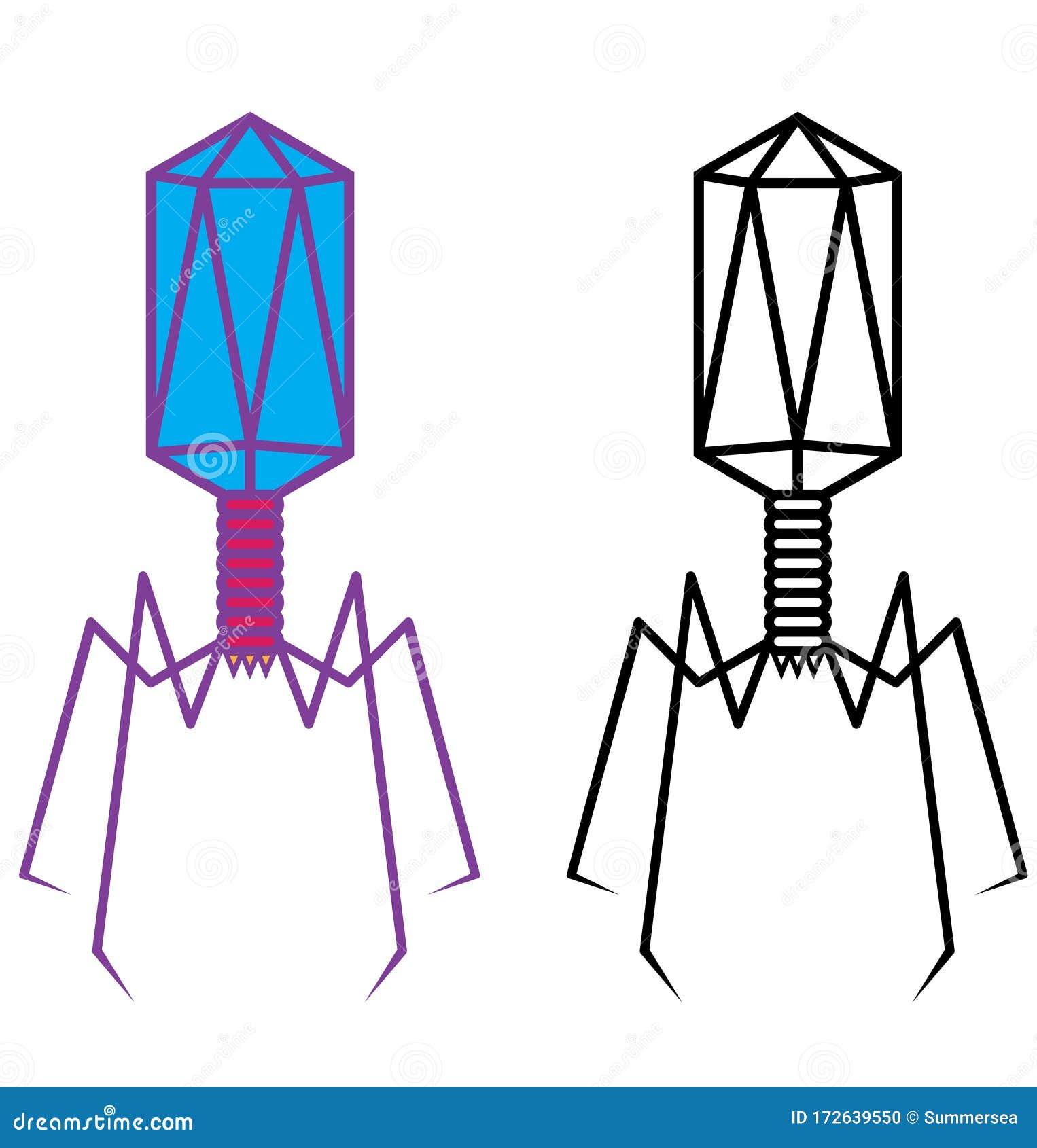 Virus side view icon stock vector. Illustration of icon - 172639550