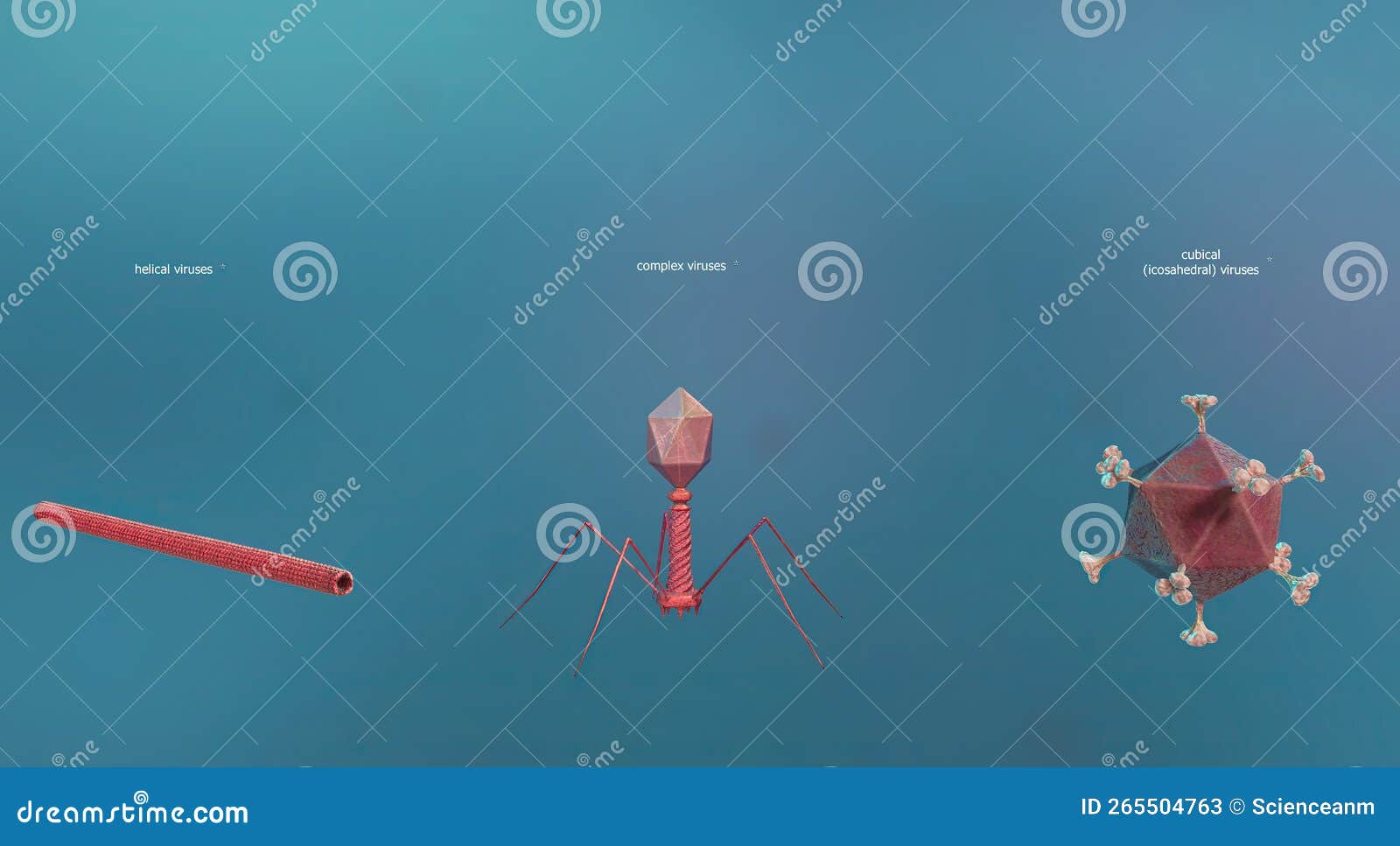 A Virus is a Submicroscopic Infectious Agent that Replicates only ...