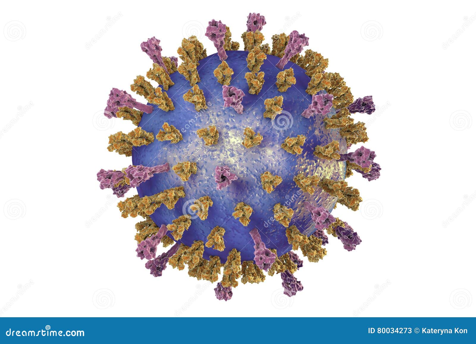 Virus Syncytial Respiratoire Illustration Stock - Illustration du ...