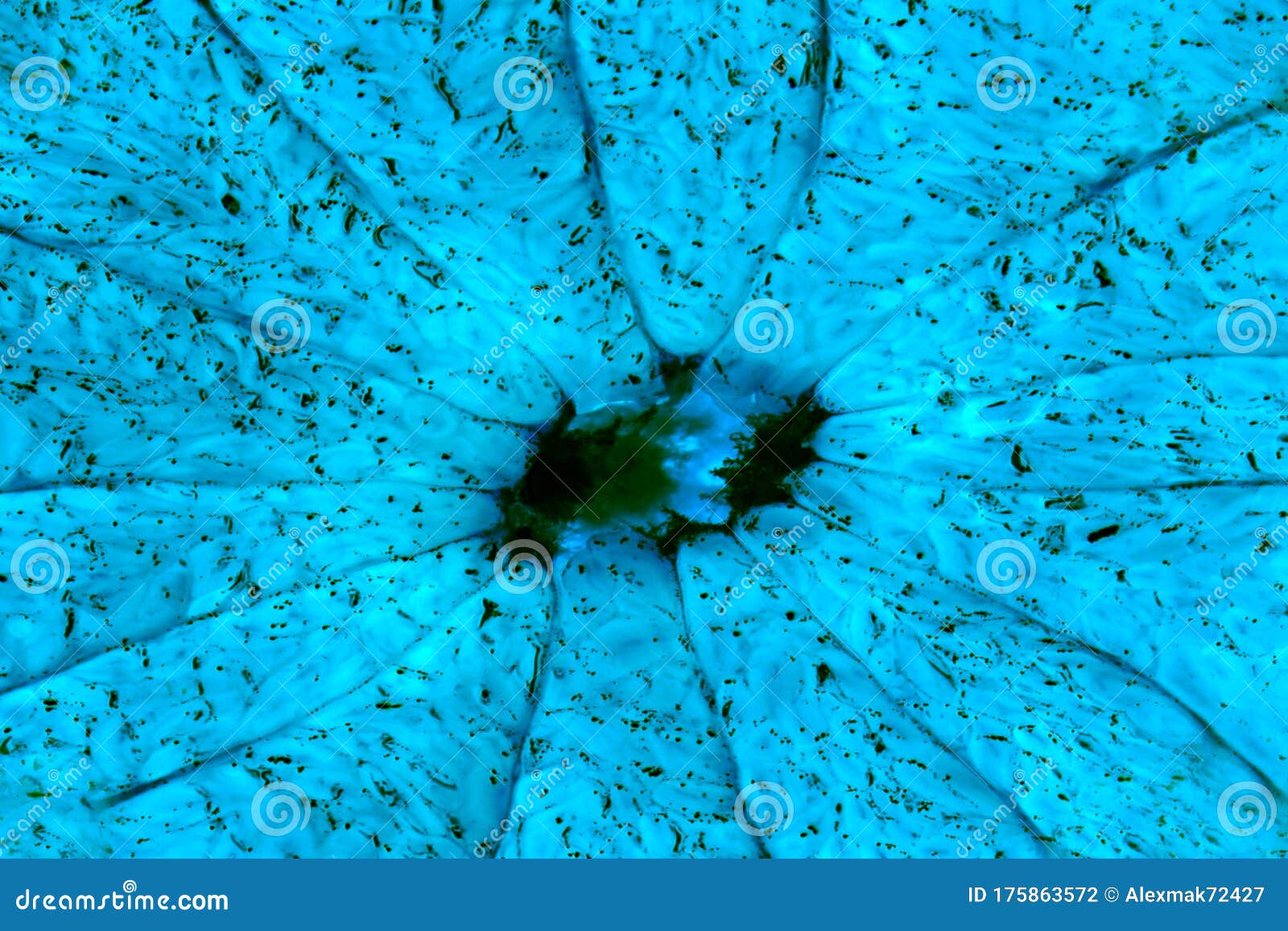 Virus Under Microscope. Bacteria Macro in Blue Colors Stock Photo ...