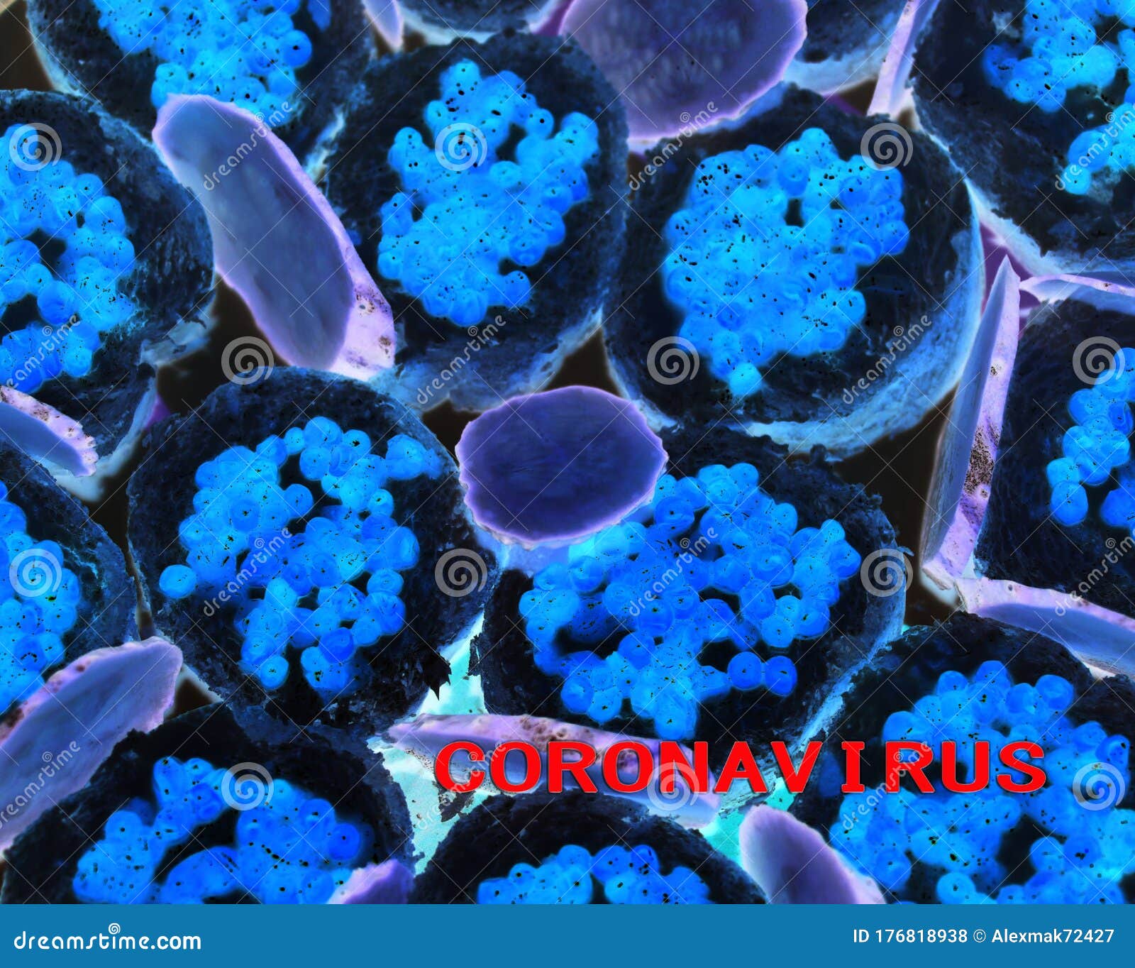 Virus Under Microscope. Bacteria Macro in Blue Colors Stock Photo ...