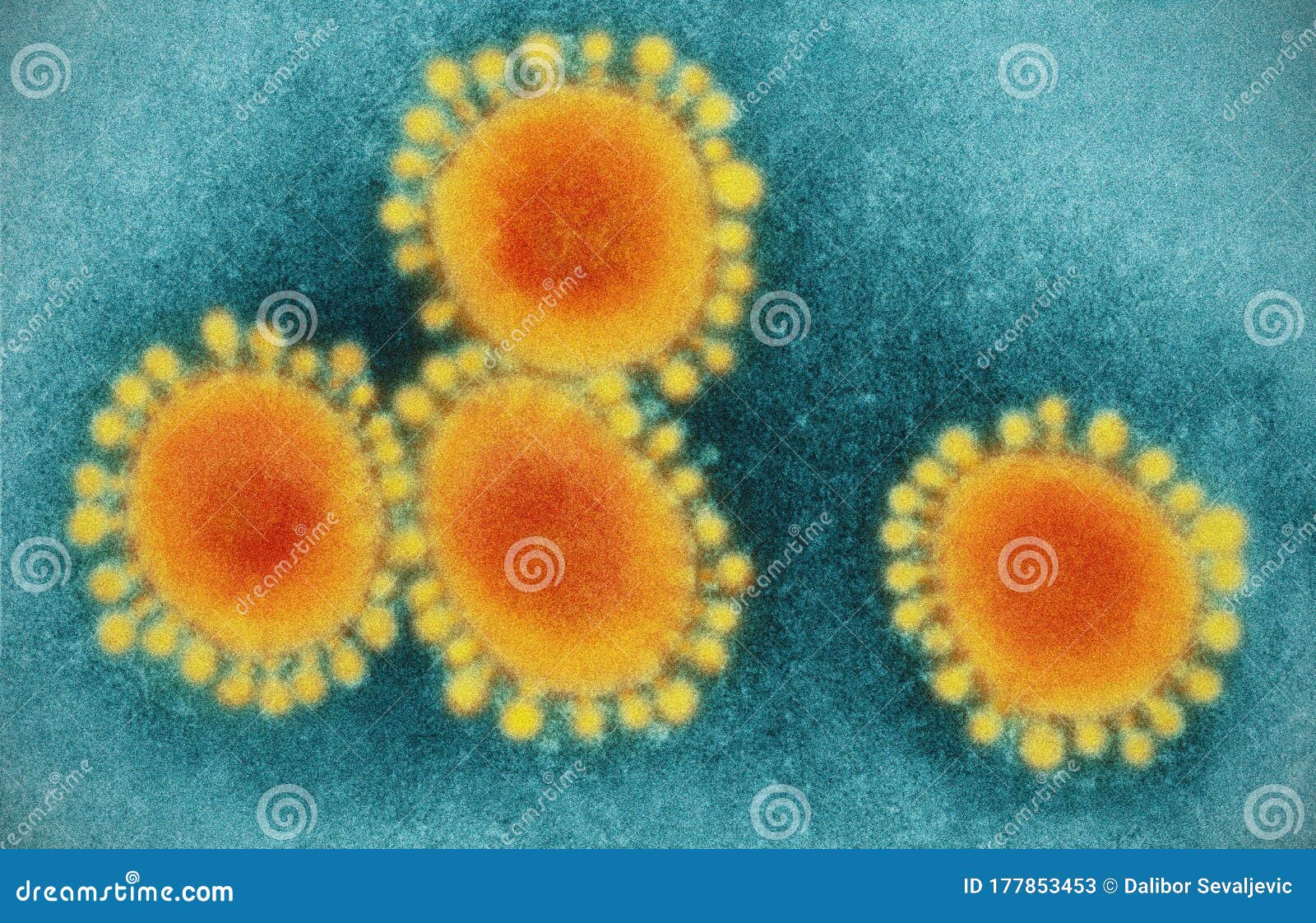Virus Under Microscope, Closeup Stock Image - Image of epidemic, world ...