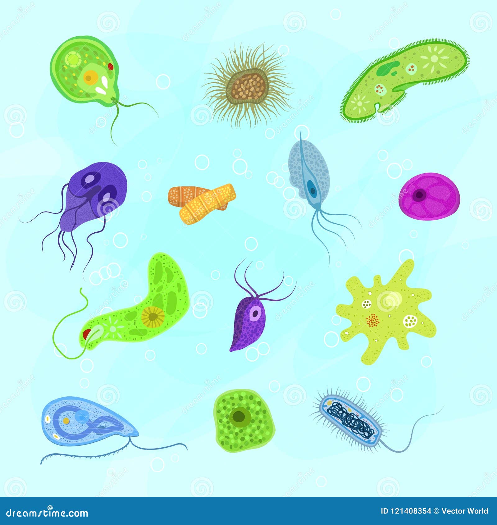 Vector Bacterial Cell Anatomy Isolated On White Background. Educational ... Vector Bacterial Cell Anatomy Isolated On White Background. Educational ...