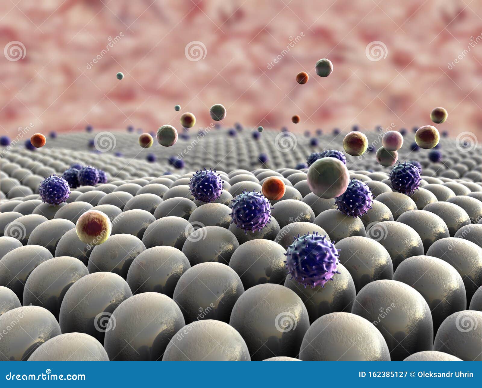 Viruses Attack the Cells, Action of the Human Immune System Stock ...