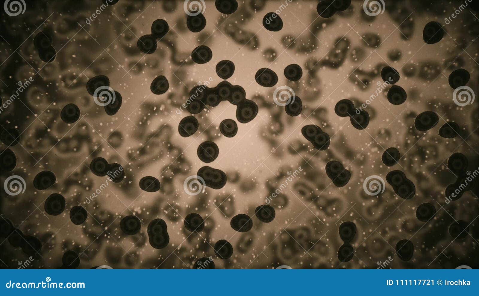 Viruses Attacking Cells or Bacterias Under Microscope 3d Rendering ...