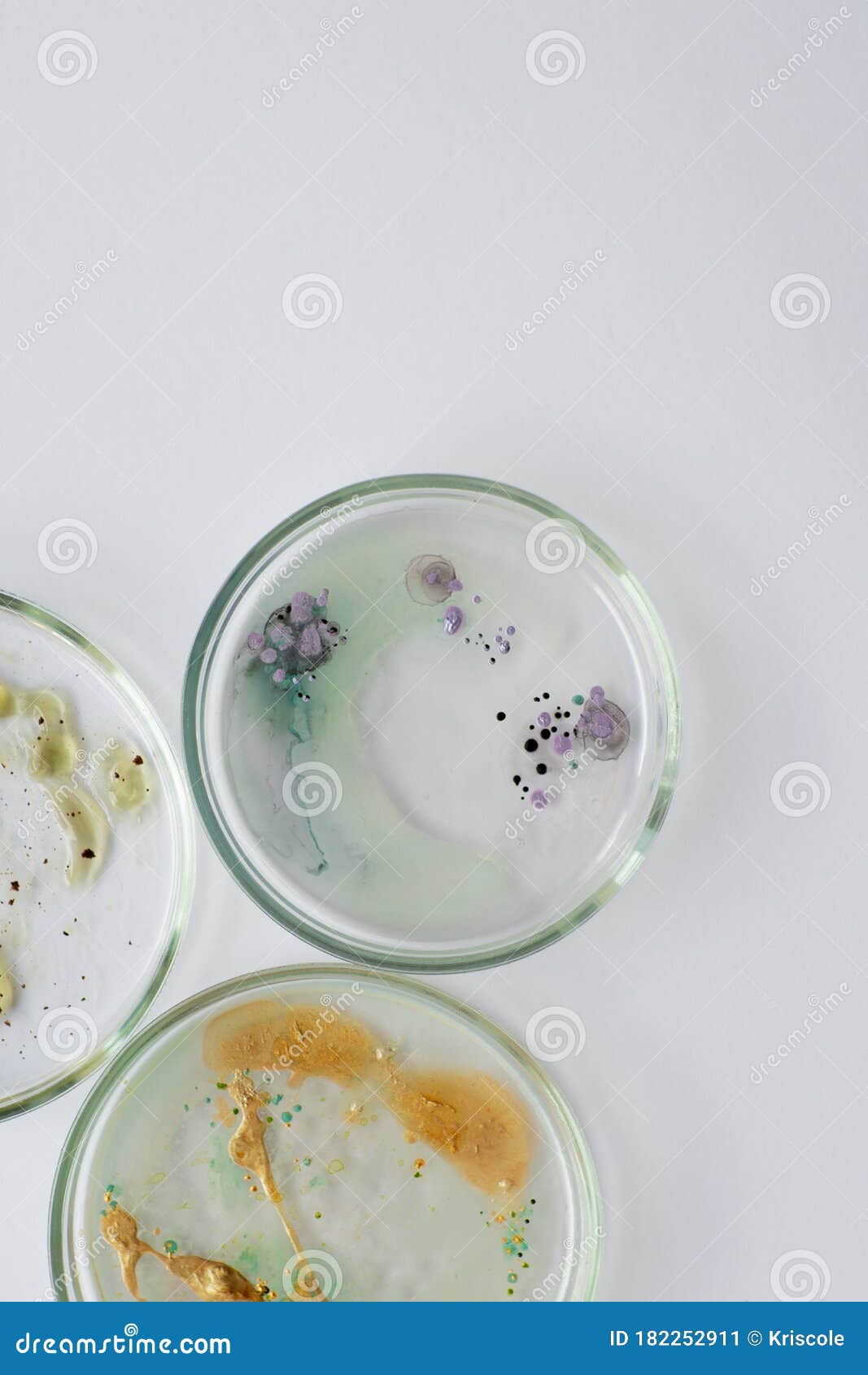 Different Samples With Kinds Of Bacterias Living At Common Household ...