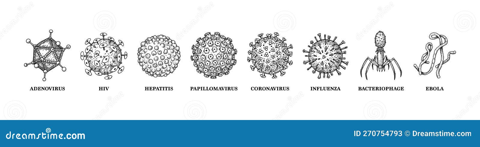 Viruses with Names Isolated on White Background. Different Types of ...