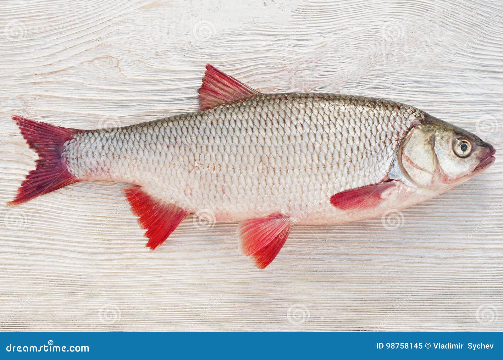 Vis een winde stock illustratie. Illustration of vlees - 98758145