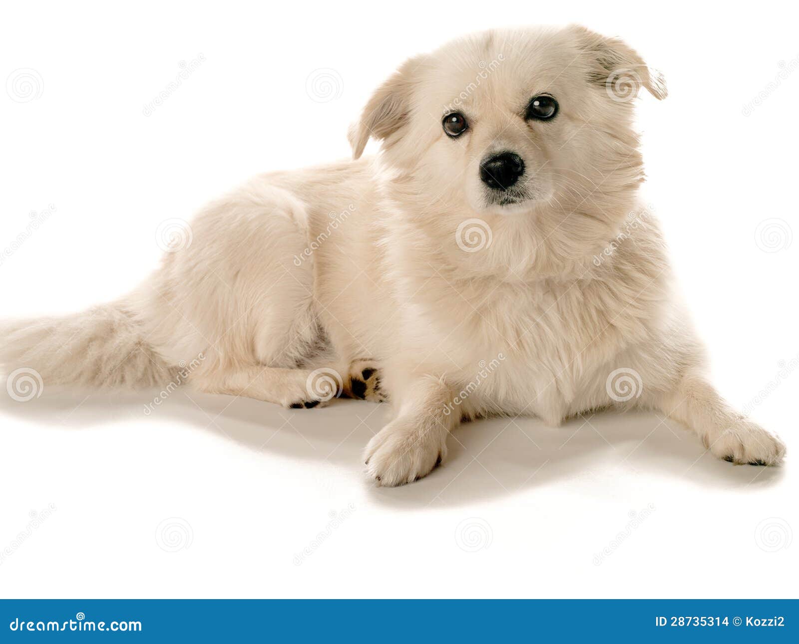 Visage esquimau américain photo stock. Image du esquimau - 28735314