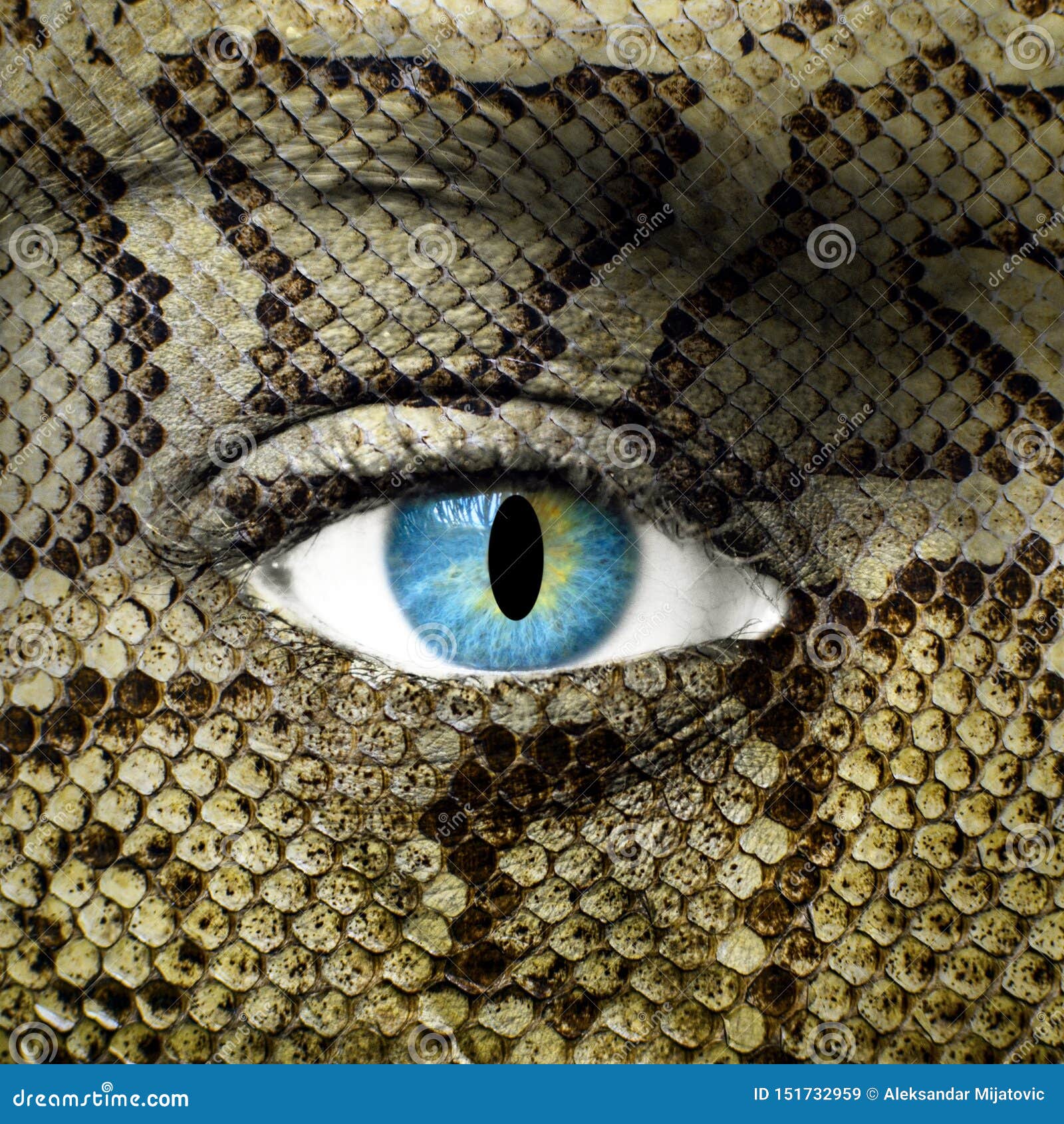 Visage Humain Avec La Texture De Peau De Serpent Image stock - Image du ...