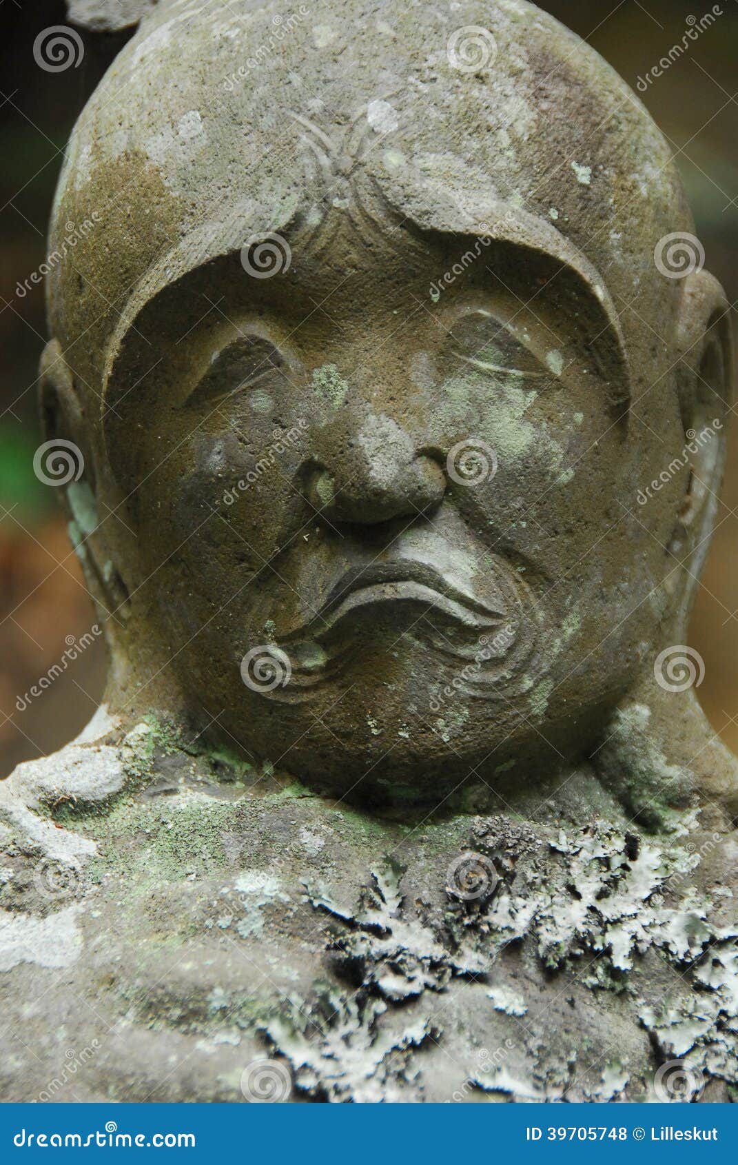 Visage Superficiel Par Les Agents D'un Rakan Photo stock - Image du ...