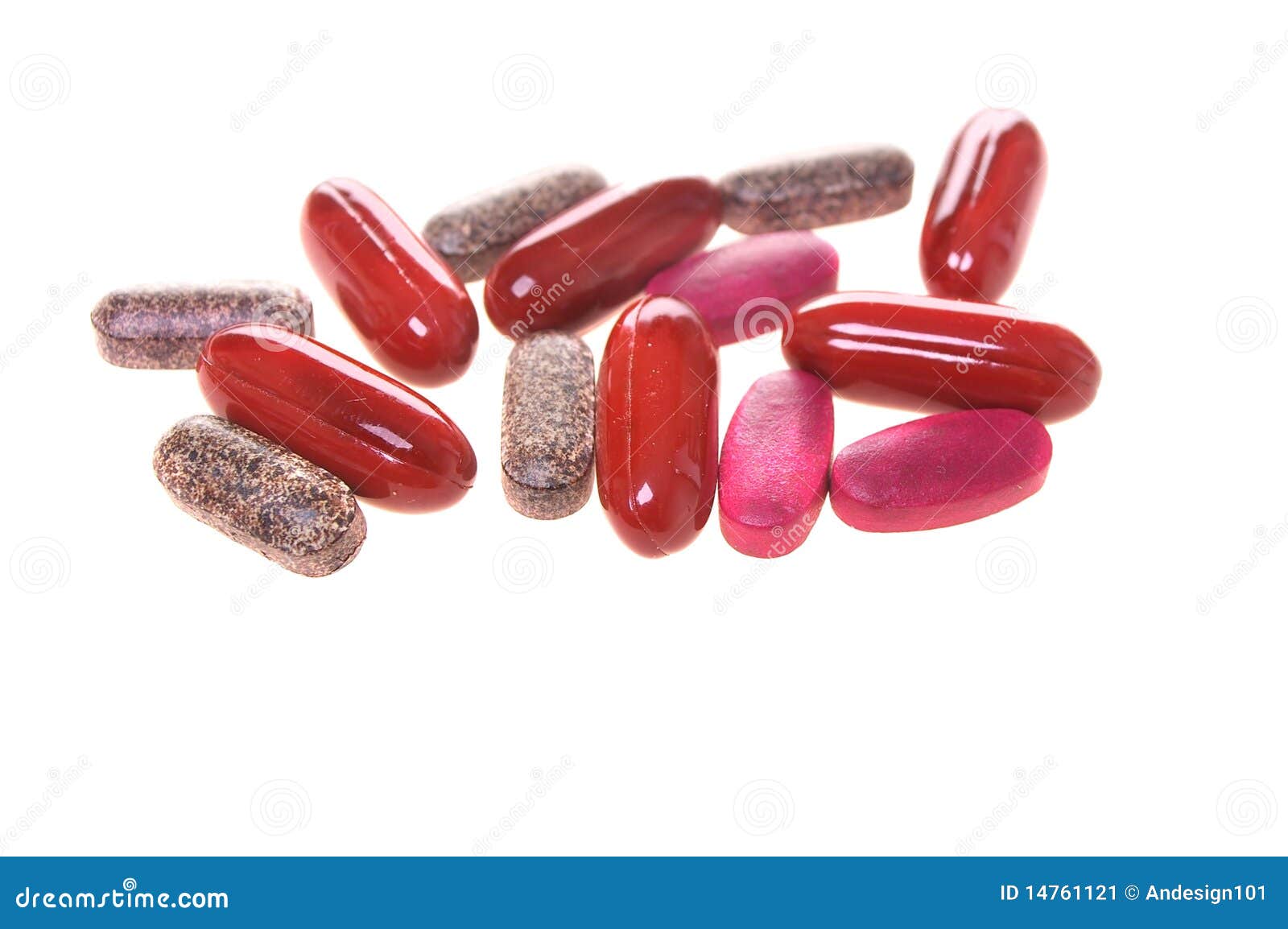 Viscere Ed Apparato Urinario Immagine Stock - Immagine di nutrizione ...