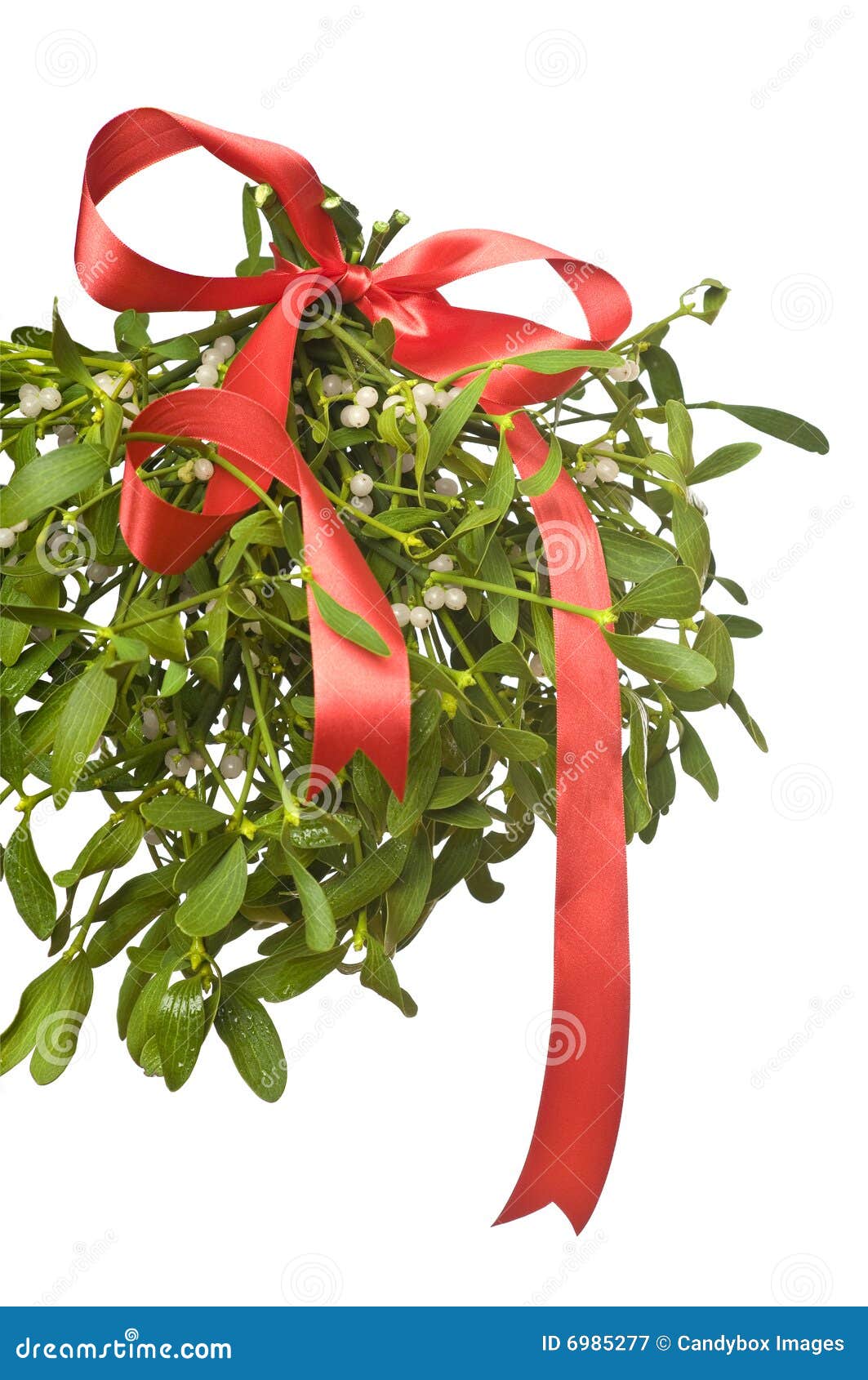 Vischio Di Natale Con Un Arco Rosso Immagine Stock - Immagine di natale ...