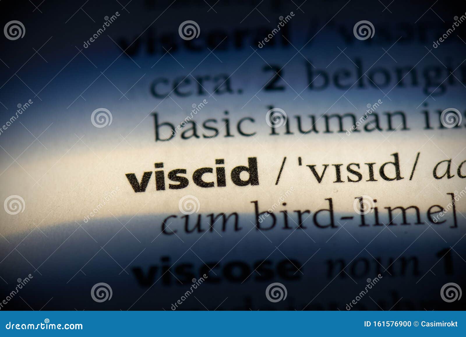 Viscid stock photo. Image of learn, detail, highlighted - 161576900