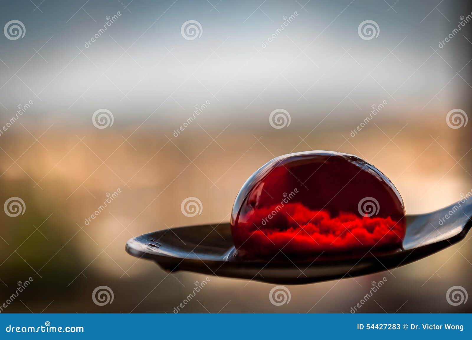 Encapsulation Concept With Random Parts Of Program Code Encapsulation With Programming Code