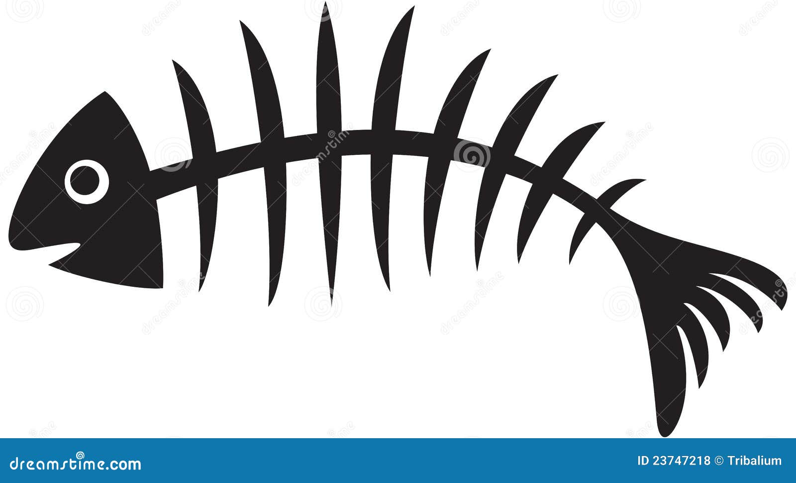 Visgraat vector illustratie. Illustration of teken, ruggegraats - 23747218