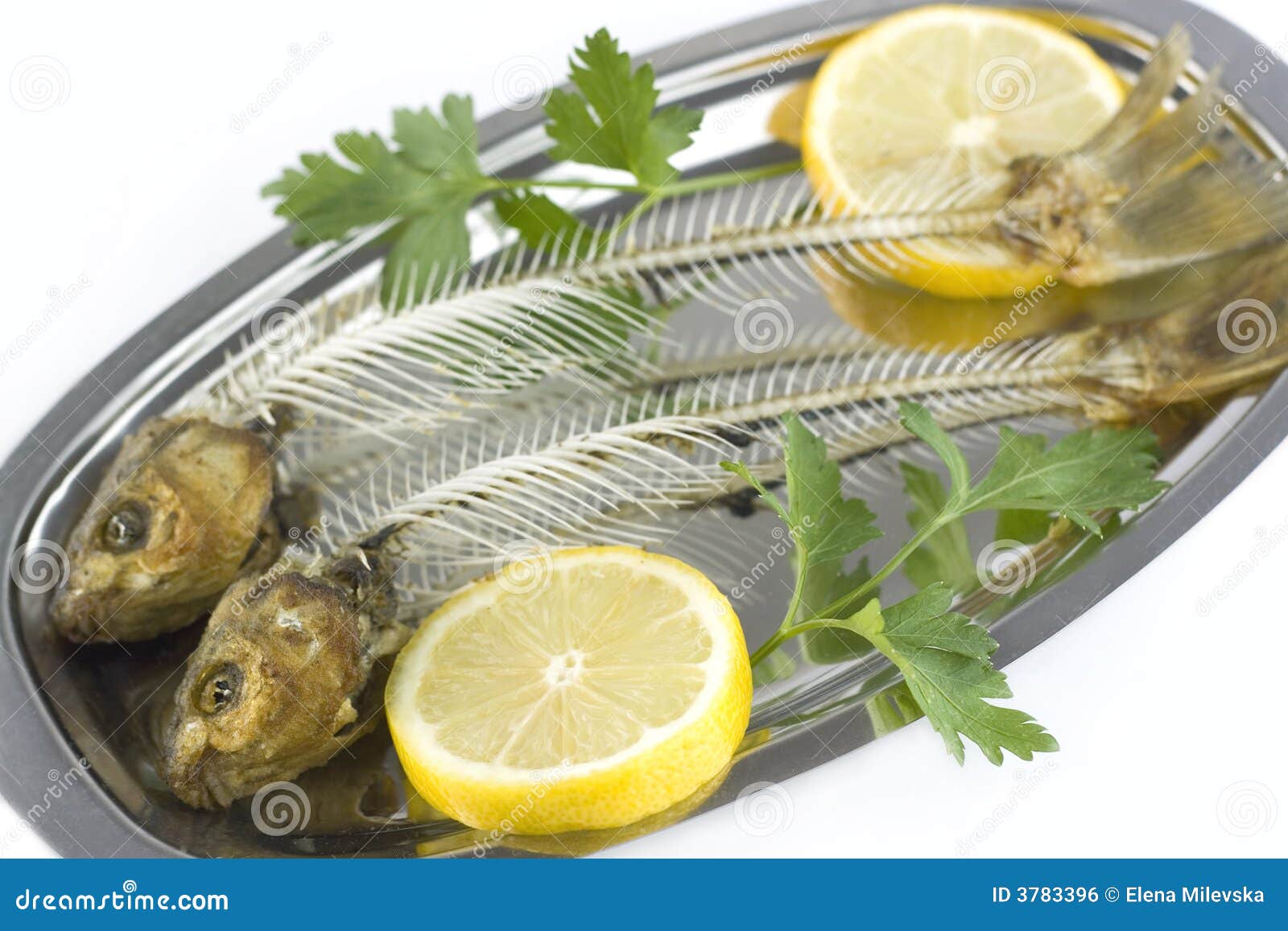 Visgraten stock foto. Image of voedsel, plaat, groen, maaltijd - 3783396