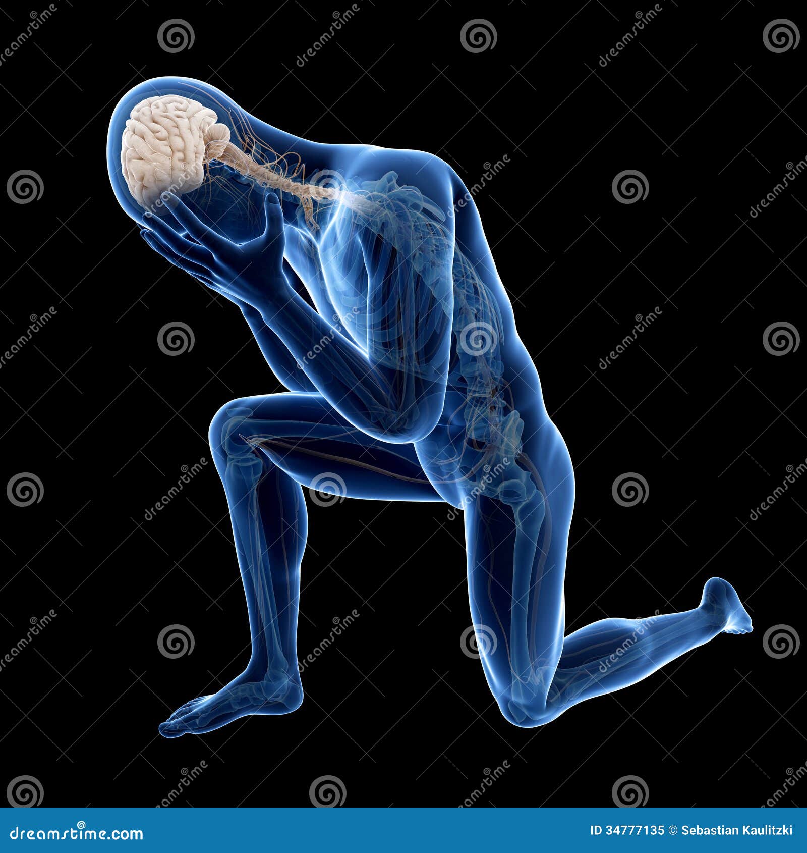 Visible anatomy stock illustration. Illustration of depression - 34777135