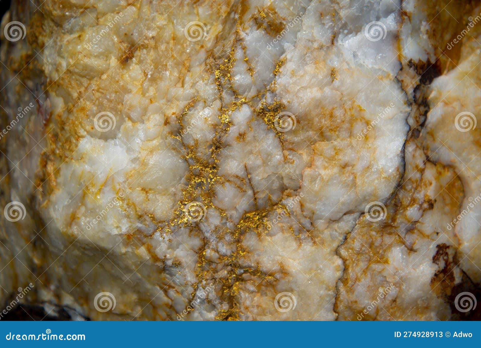 Visible Gold in Quartz Vein Stock Image - Image of visible, sampling ...