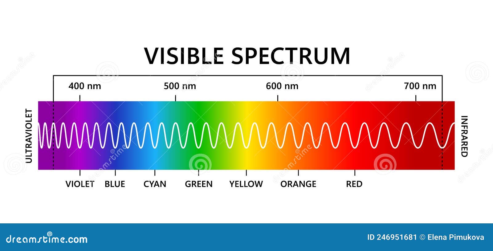 Visible Light Spectrum, Infared and Ultraviolet. Optical Light ... Visible Light Spectrum, Infared and Ultraviolet. Optical Light ...