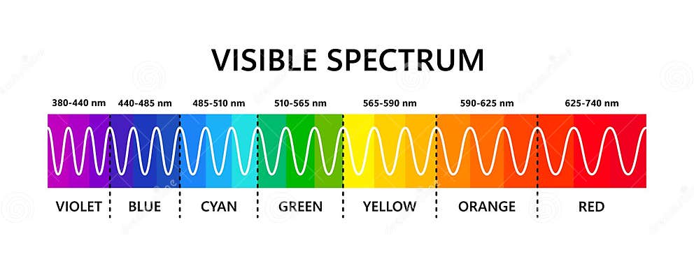Visible Light Spectrum. Optical Light Wavelength. Electromagnetic ...