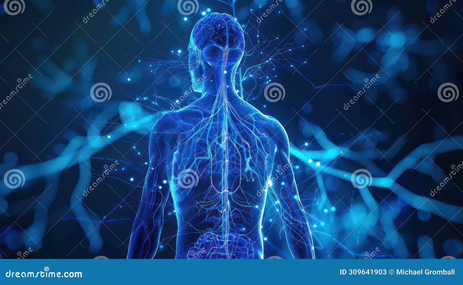 Visible Neural Pathways on a Model of a Human Body Created with ...