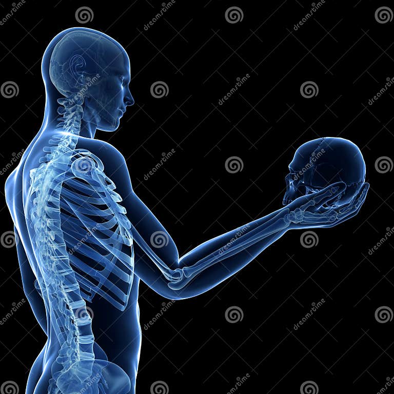 Visible skeleton stock illustration. Illustration of science - 34776495