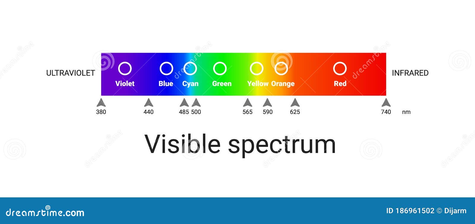 Visible Spectrum Light. Infographic of Sunlight Wavelength Stock Vector ...
