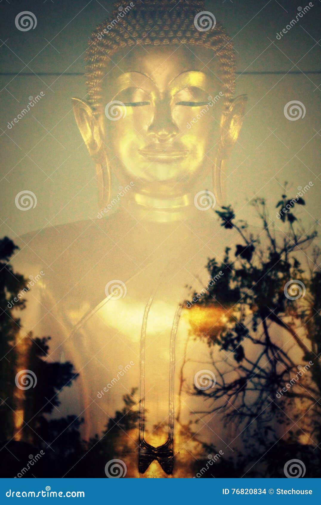 A vision of the Buddha stock photo. Image of oldest, bangkok - 76820834