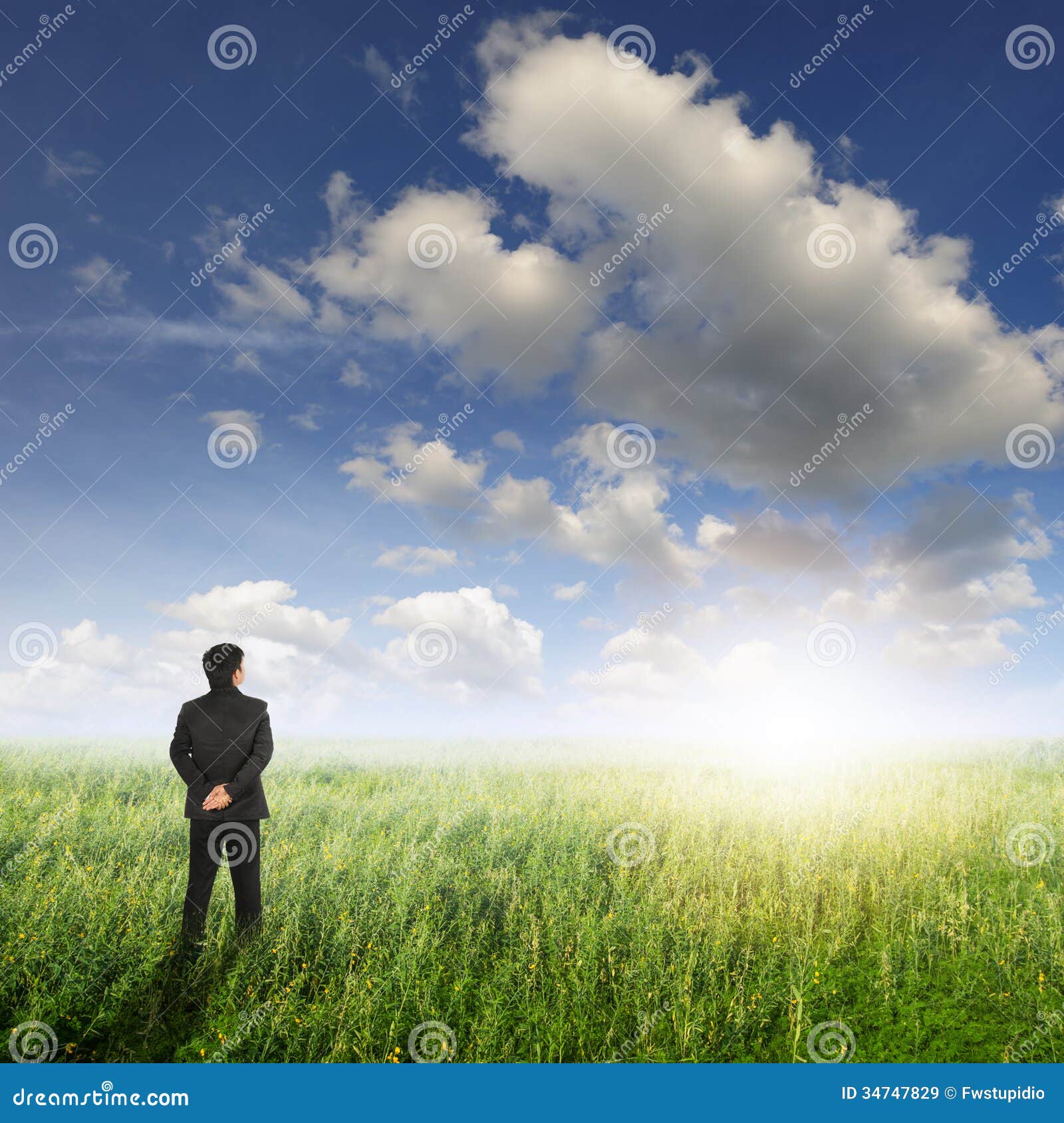 Vision Business Man in Fields and Sun Sky Stock Image - Image of nature ...