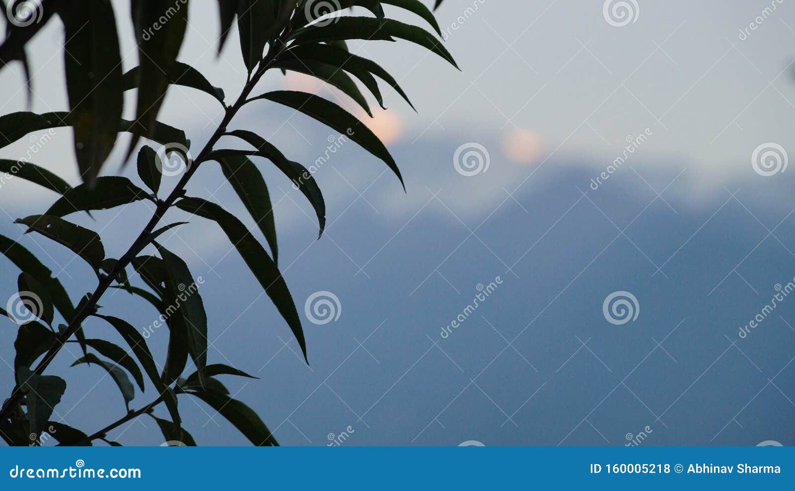 Vision from the shadows. stock photo. Image of shadows - 160005218