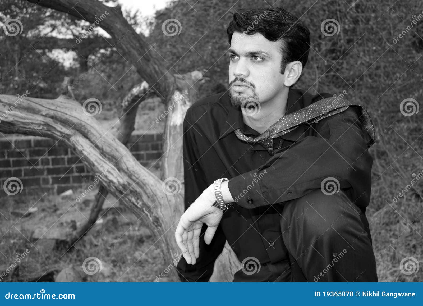 Visionary stock photo. Image of male, businesspeople - 19365078