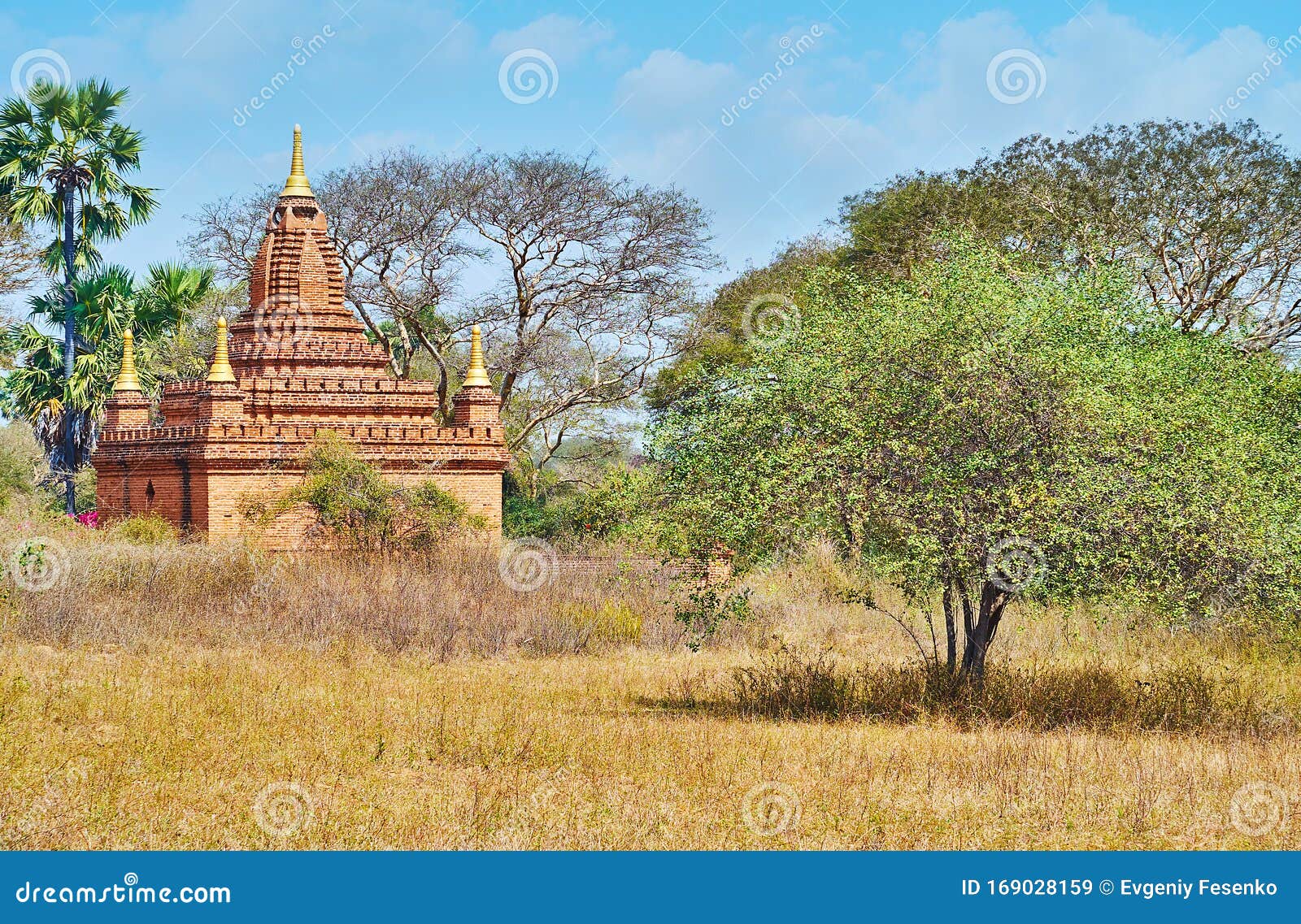 Walk in Bagan Archaeological Site, Myanmar Stock Image - Image of pagan ...
