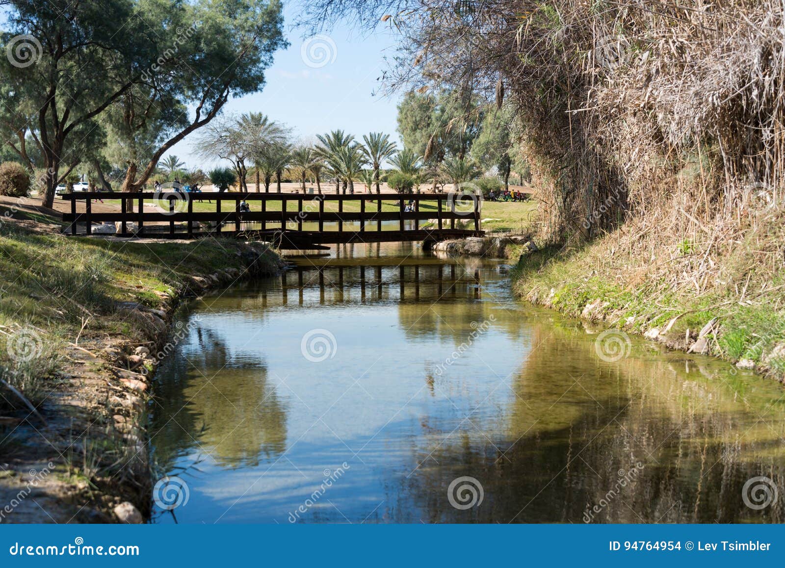 Visit To Eshkol National Park Stock Photo - Image of stream, trees ...