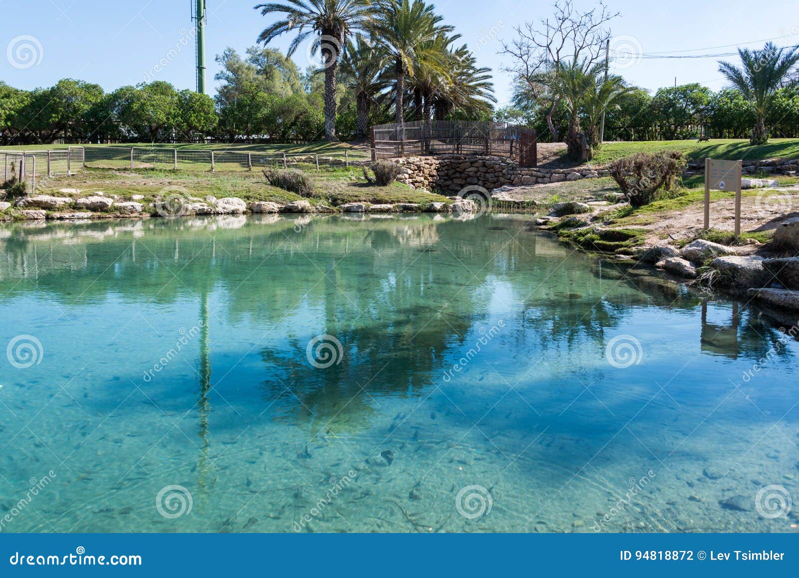 Visita Al Parque Nacional De Eshkol Foto de archivo - Imagen de negar ...