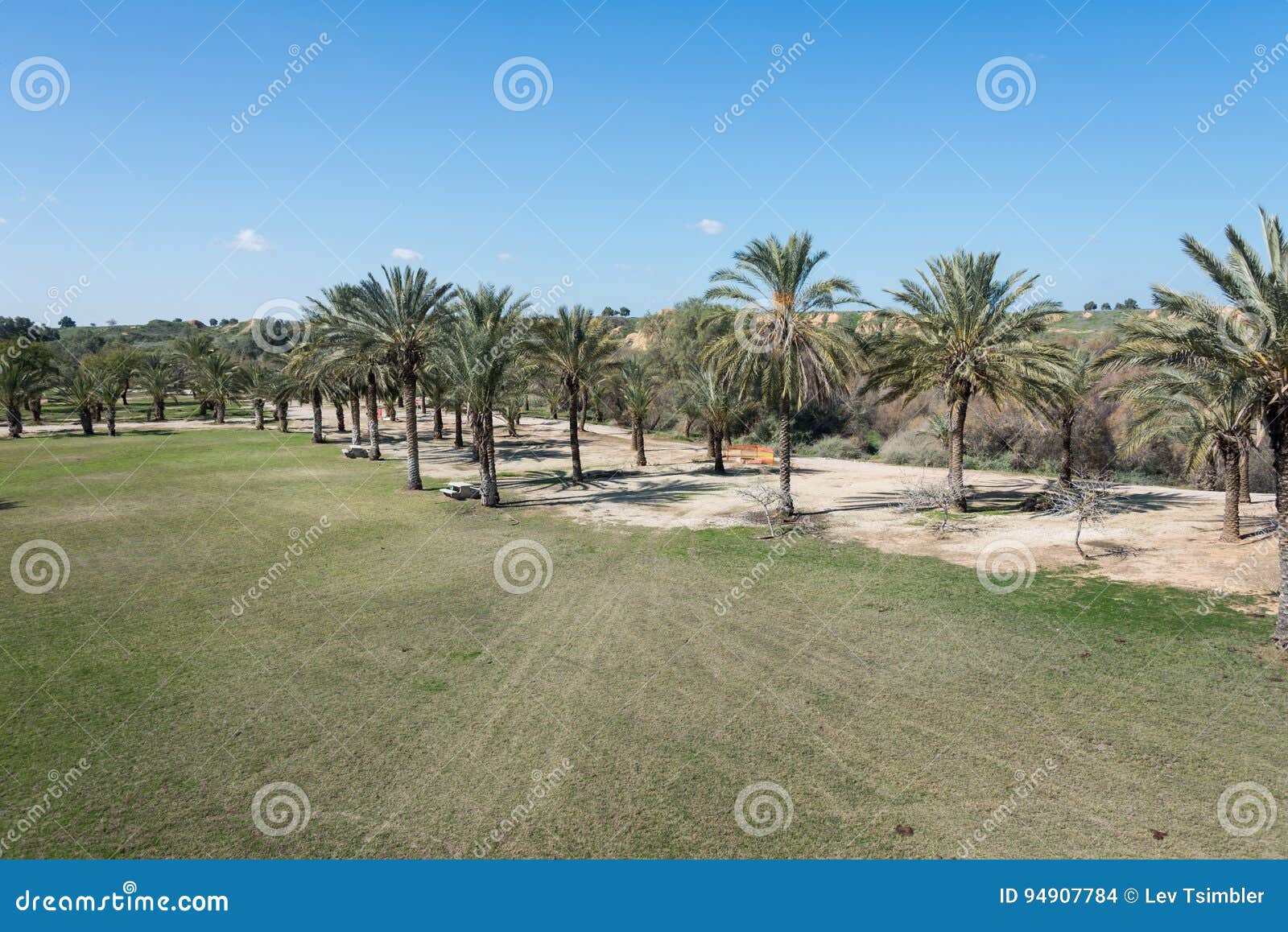 Visita Al Parque Nacional De Eshkol Foto de archivo - Imagen de ...