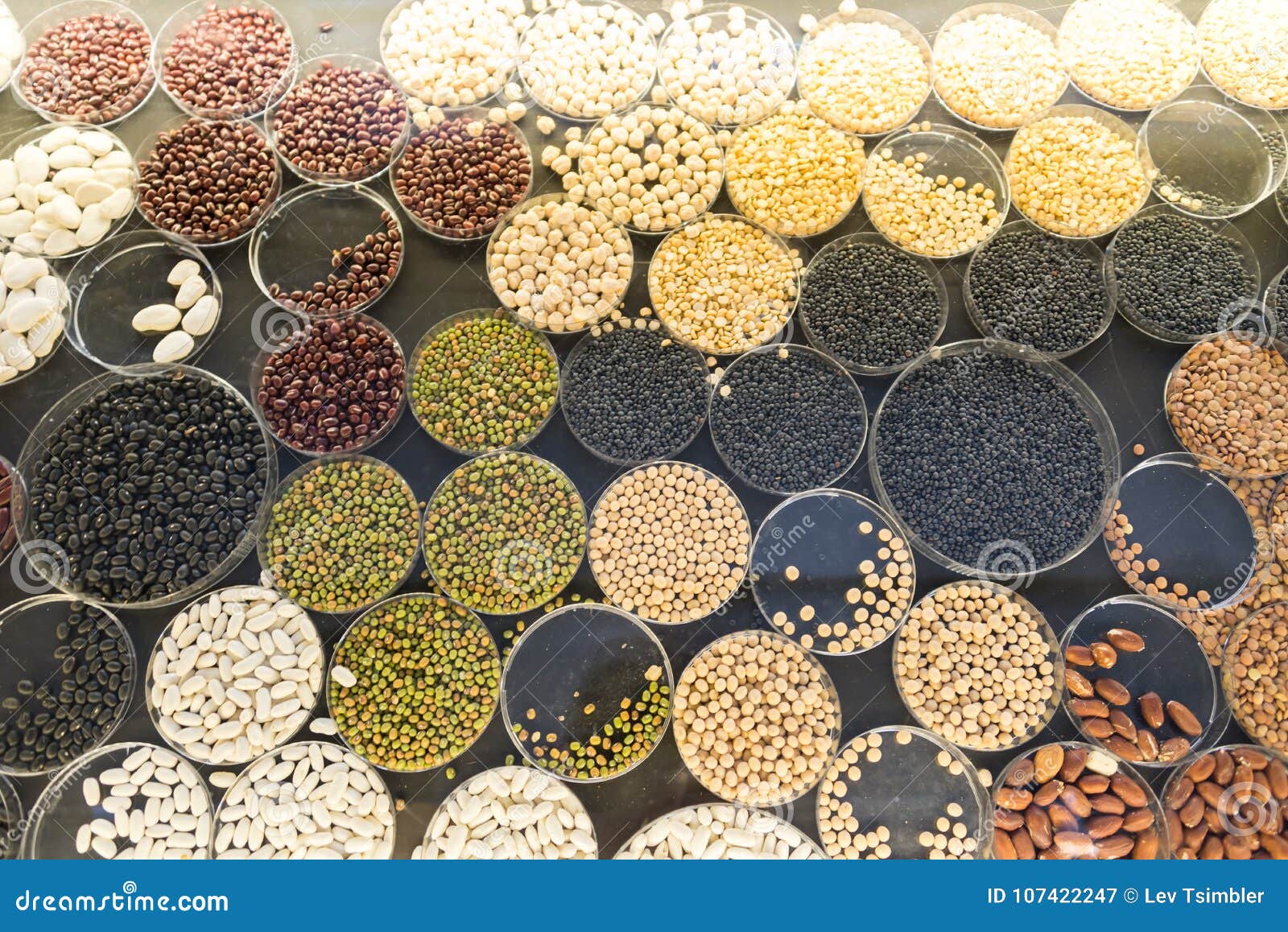 Visiting Bloomfield Science Museum Jerusalem Editorial Photography ...